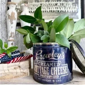 Sweet Burley | Other | Antique Mohawk Tin Advertising Flavor Rite ...